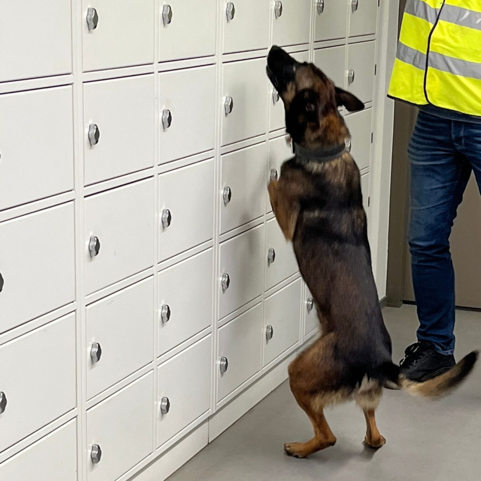 Vuurwerkcontrole door professionals - Alcohol Security